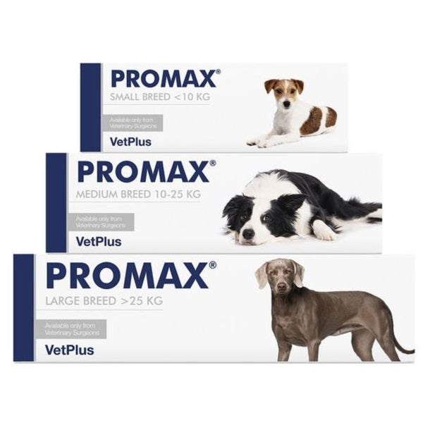 Promax Nutritional Supplement – Petwell Store